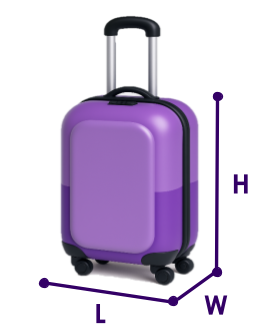 Checked Baggage