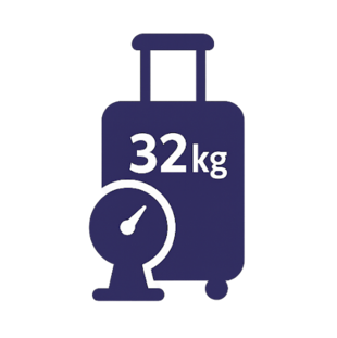 Checked Baggage